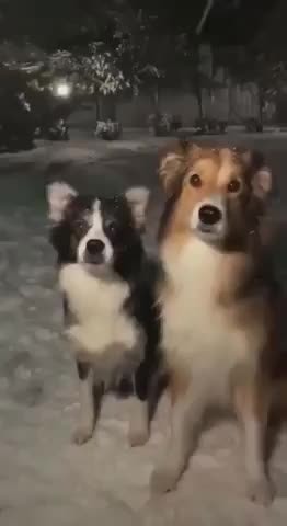 Ready?? - Meme by Peporap :) Memedroid