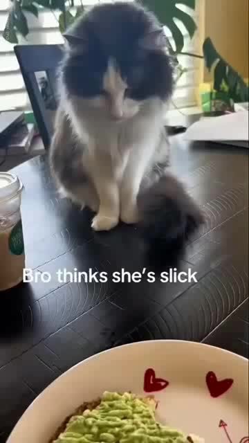 Bro thinks she's slick. She's not. - Meme subido por DraconianMelon ...