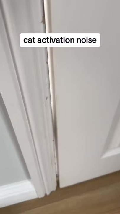 Crispy cats - Meme by Xenninja :) Memedroid