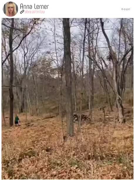 Ese árbol tiene algo en su contra - Meme subido por MMD_Fun_Agent_ES ...