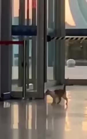 No one escapes control - Meme by MMD_Fun_Agent :) Memedroid