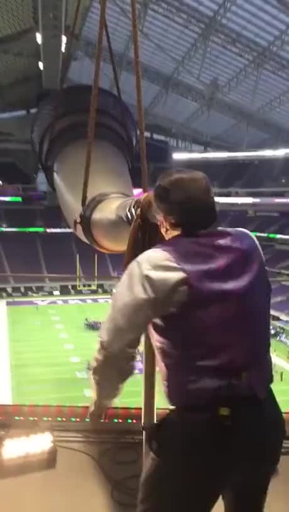 Minnesota Vikings Gjallarhorn - Meme by schizoidman :) Memedroid