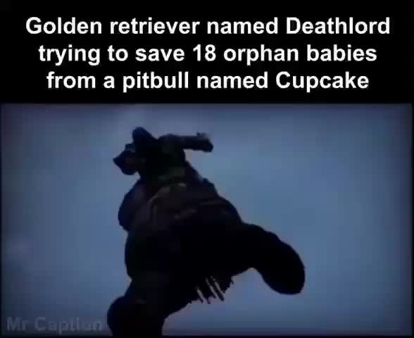 Untitled - Meme by BestBeforeDate :) Memedroid