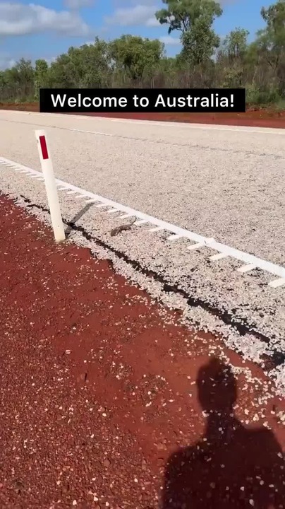 Australia: where chaos is just nature - Meme subido por shelbytrash ...