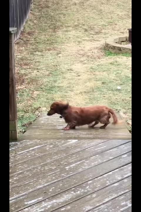 Slip sliding away - Meme by Cliffy_99 :) Memedroid