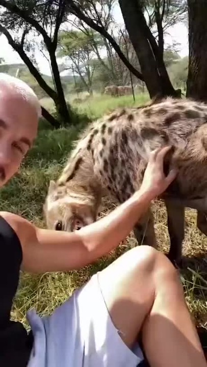 Wholesome hyena - Meme by AloneKaven :) Memedroid