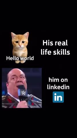 linkedin vs real life skills mismatch speedrun - Meme by bblub :) Memedroid