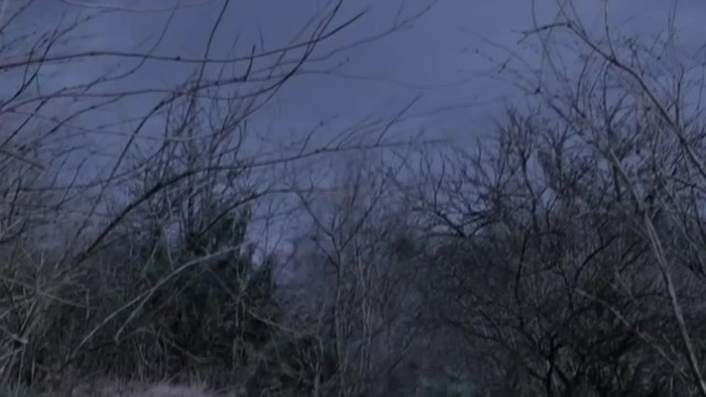 O Lobo pidão pede - Meme by Shiryu777 :) Memedroid