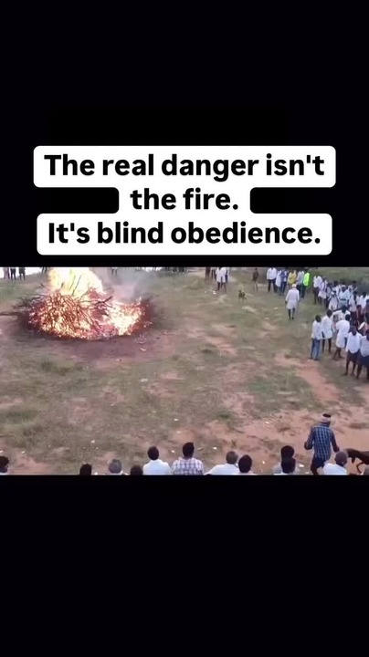 Blindly following the crowd can lead you straight into the flames ...