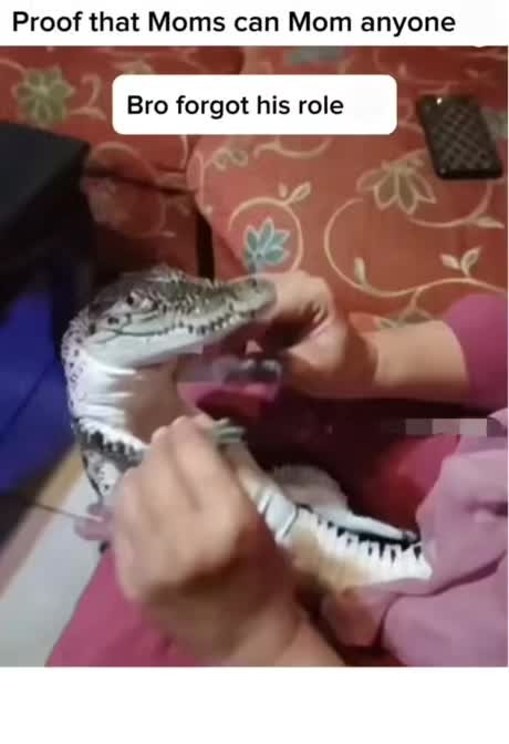 Cute croco - Meme by NouSIii :) Memedroid