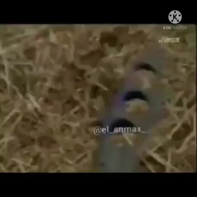 Temaikén - Meme by LordArlecchino :) Memedroid