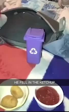 La tragica historia de una rata ahogada en ketchup - Meme subido por ...