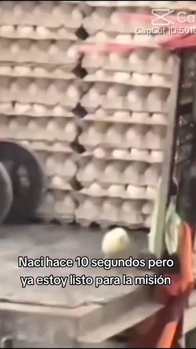 Esa es su misión. - Meme by El_Vergudo :) Memedroid