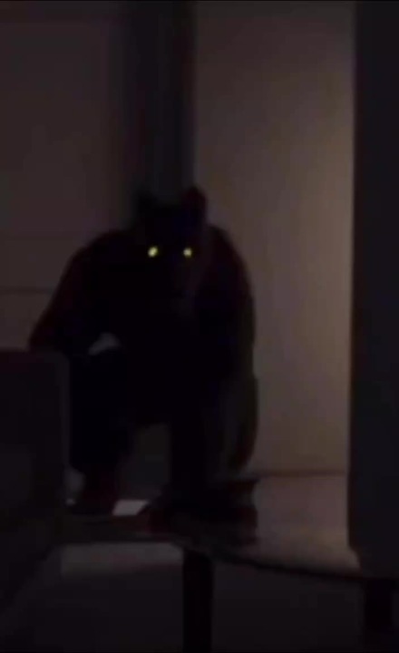 creepy - Meme subido por Pernilongo :) Memedroid