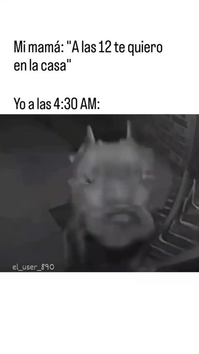 Perro en el telefonillo - Meme subido por Paradoxod :) Memedroid