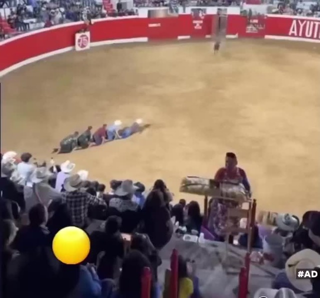 El juego del Toro - Meme subido por svaa25 :) Memedroid