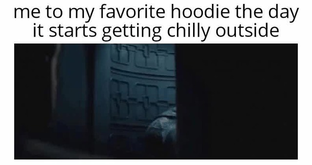 My favorite hoodie - Meme by Faahhrgan :) Memedroid