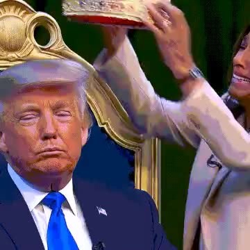 Election results 2024 meme - Meme subido por pirush :) Memedroid