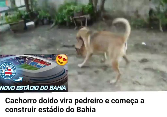 Agora vem a arena - Meme by Pele1954 :) Memedroid