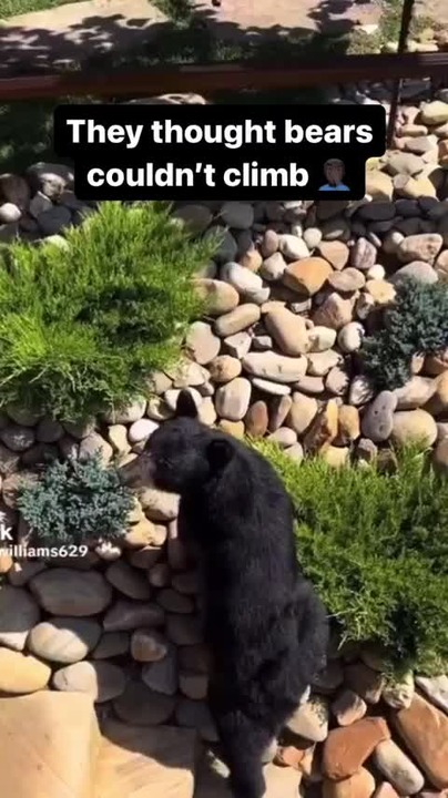 Oh shiiiii - Meme by h4ppyp1LLs :) Memedroid