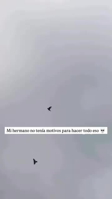freestyle - Meme subido por Comegalleticasfrias :) Memedroid