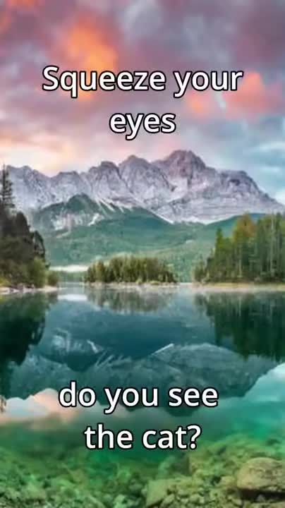 do you see the cat? - Meme by CurveOW :) Memedroid