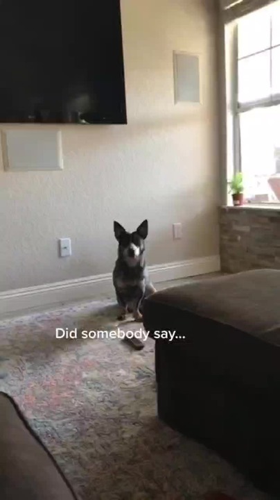 Car ride - Meme subido por Esmeria :) Memedroid