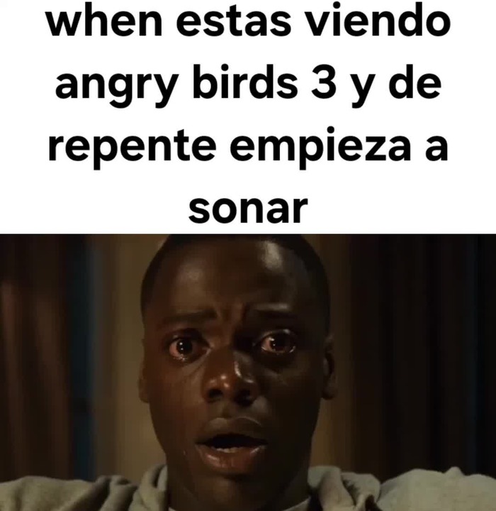 Se supone que la peli seria sobre una isla tropical con osos como ...