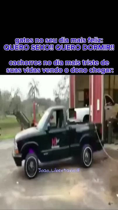 Quack - Meme by Joao_Libertario :) Memedroid