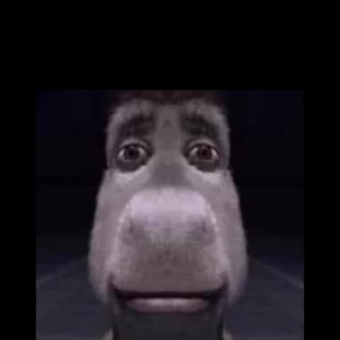 Dear Adonis... - Meme subido por The_Paintor :) Memedroid