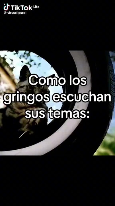 I'm sorry ms Jackson - Meme subido por D-Streets :) Memedroid