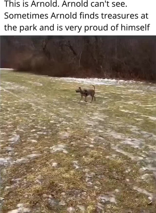Arnold - Meme by tamikins123 :) Memedroid