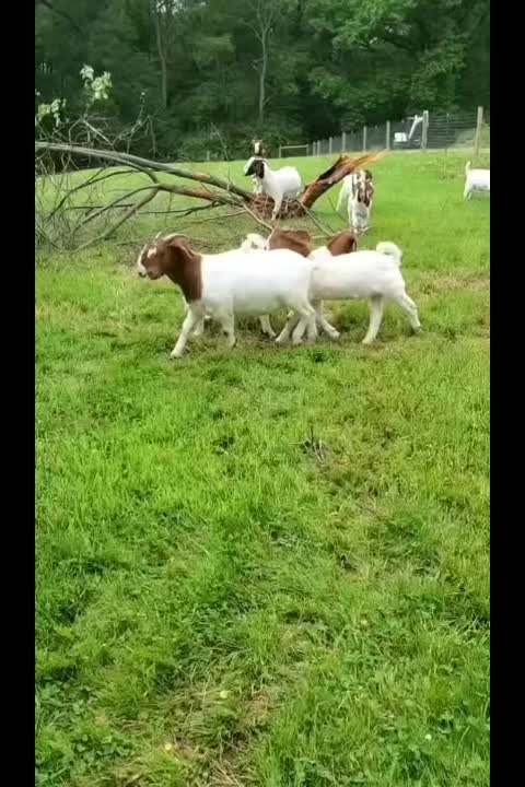 Govenor - Meme by Cliffy_99 :) Memedroid