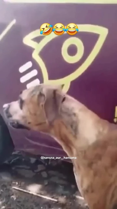 Prro - Meme subido por Kaleno87 :) Memedroid