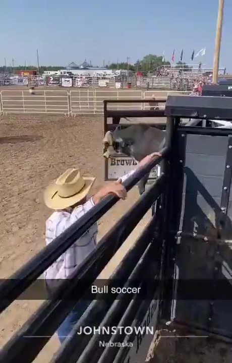 Yee haw - Meme by Disappointed_father :) Memedroid