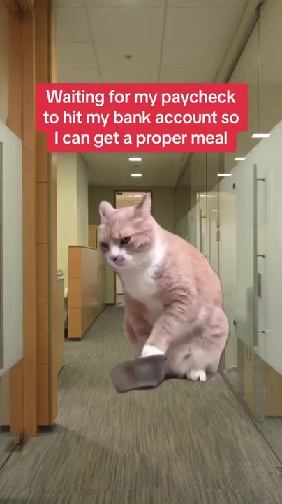 where's my paycheck - Meme by shelbytrash :) Memedroid