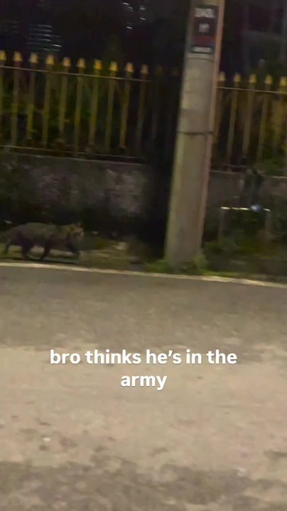 Bro’s taking PE class like it’s basic training - Meme by FuzzyGrim ...