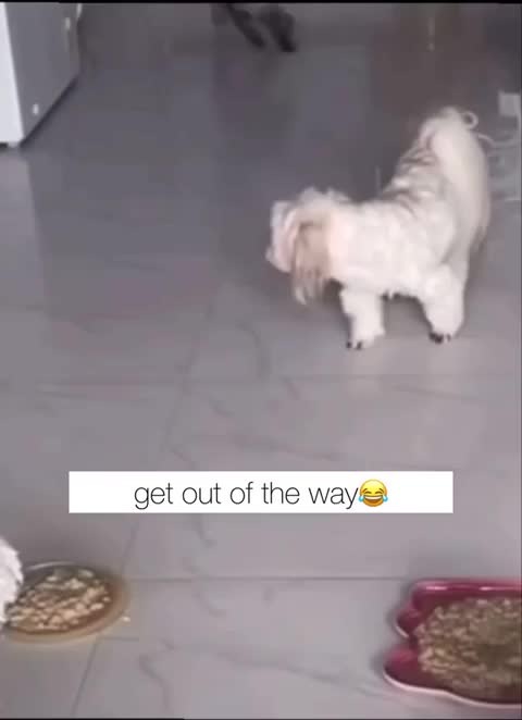 disrespect your surroundings - Meme by NOVAscope :) Memedroid