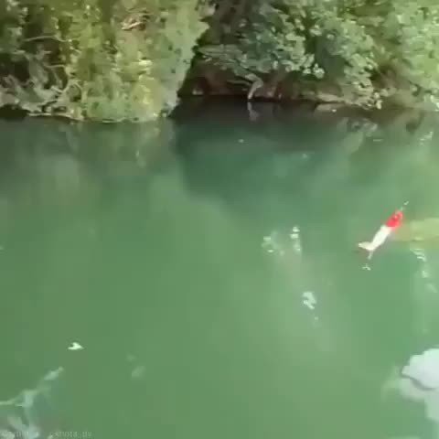 Big fawk innit - Meme by Janos_Slynt :) Memedroid