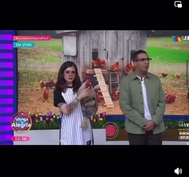 Gallo MEMEDROIDER - Meme subido por xlHEINER :) Memedroid