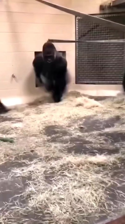 Transition - Meme by PASSWORD123456789 :) Memedroid