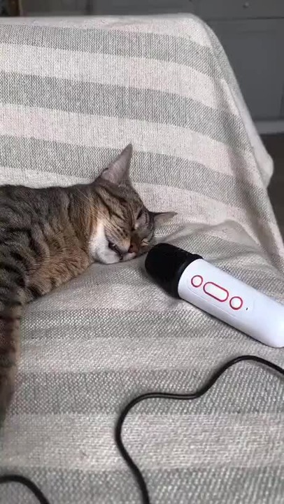 Pushing out zzz - Meme by Cangcore :) Memedroid