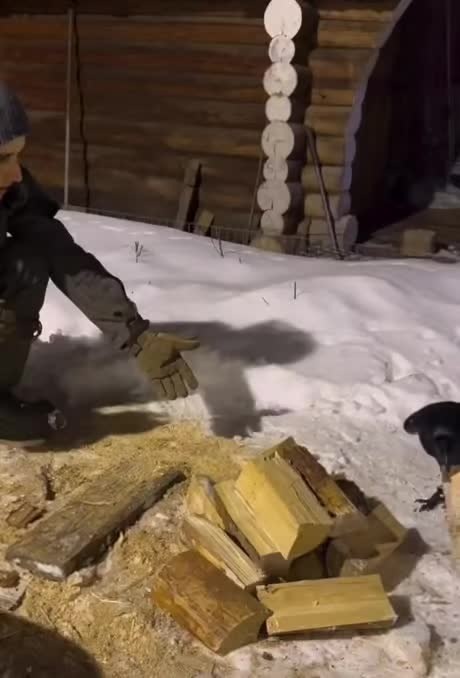 un cuervo ayudando a leñador - Meme by crazyShadow :) Memedroid