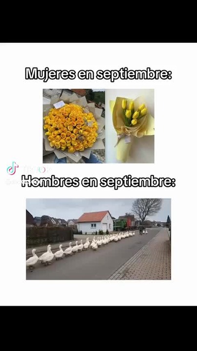 Septiembre según ellas vs según ellos - Meme subido por leonidesburgos ...