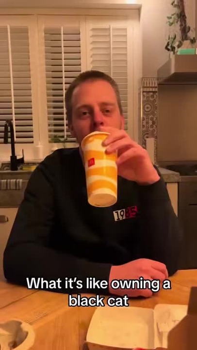 Owning a black cat - Meme by sdesethor :) Memedroid