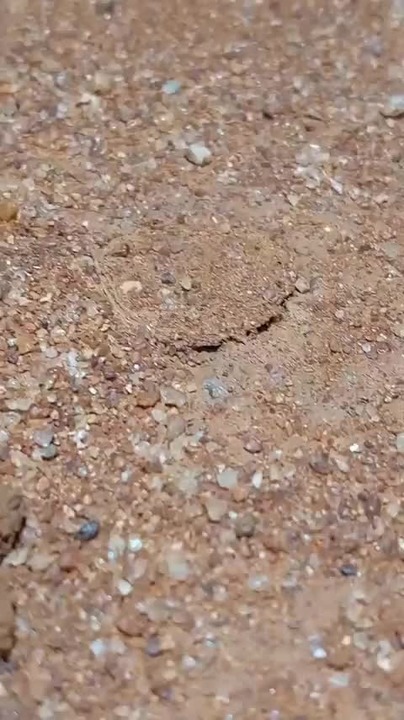 HOME INTRUDER ALERT - Meme by Jungster :) Memedroid