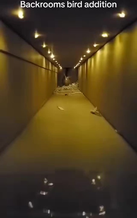 Backrooms - Meme by Knot_daddy :) Memedroid