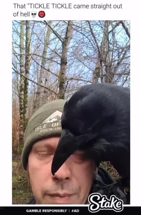 Talking with a crow - Meme by GiantsLordHurdle :) Memedroid