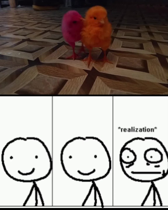 Un saludo a MMD authority Bv - Meme subido por ElPeorTroll :) Memedroid