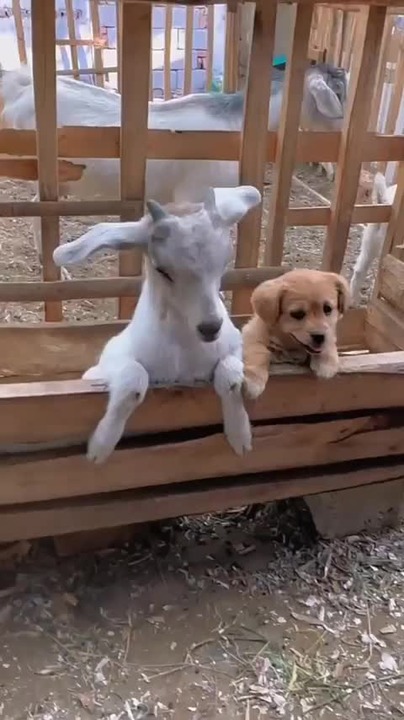 best bros - Meme by MemeTheVersed :) Memedroid